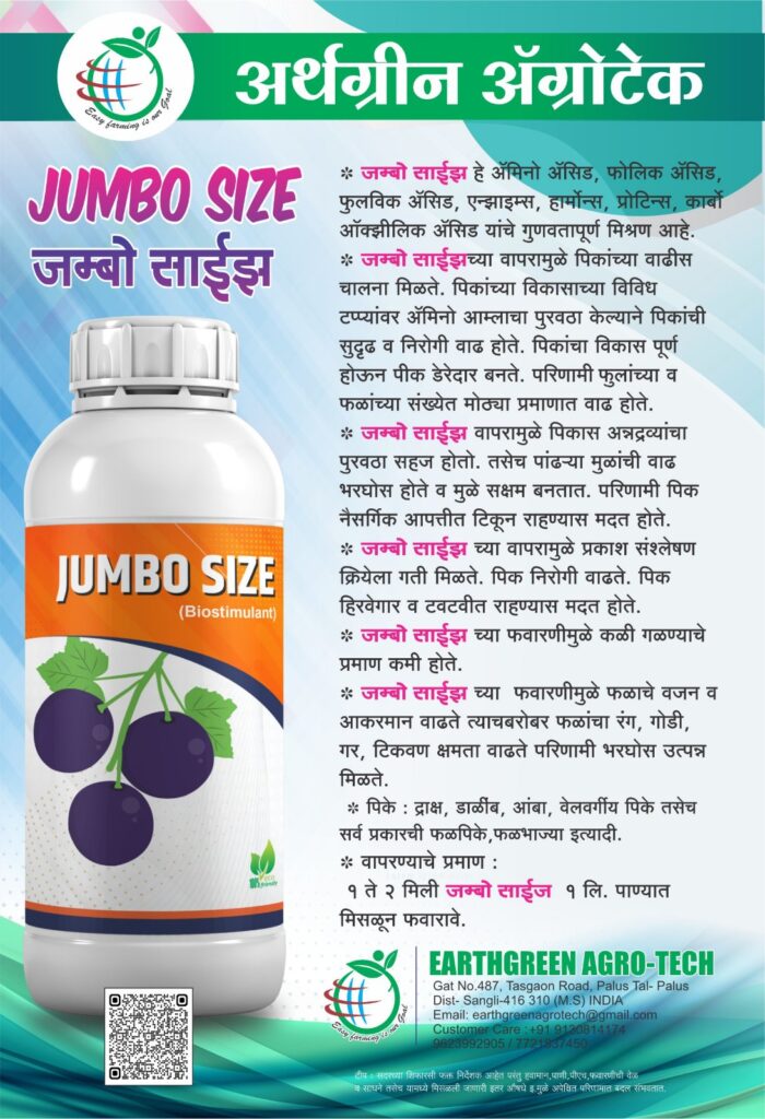 Jumbo Size